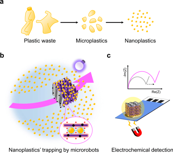 “Nanoplastics Can Penetrate Skin: What It Means for Your Daily Life”